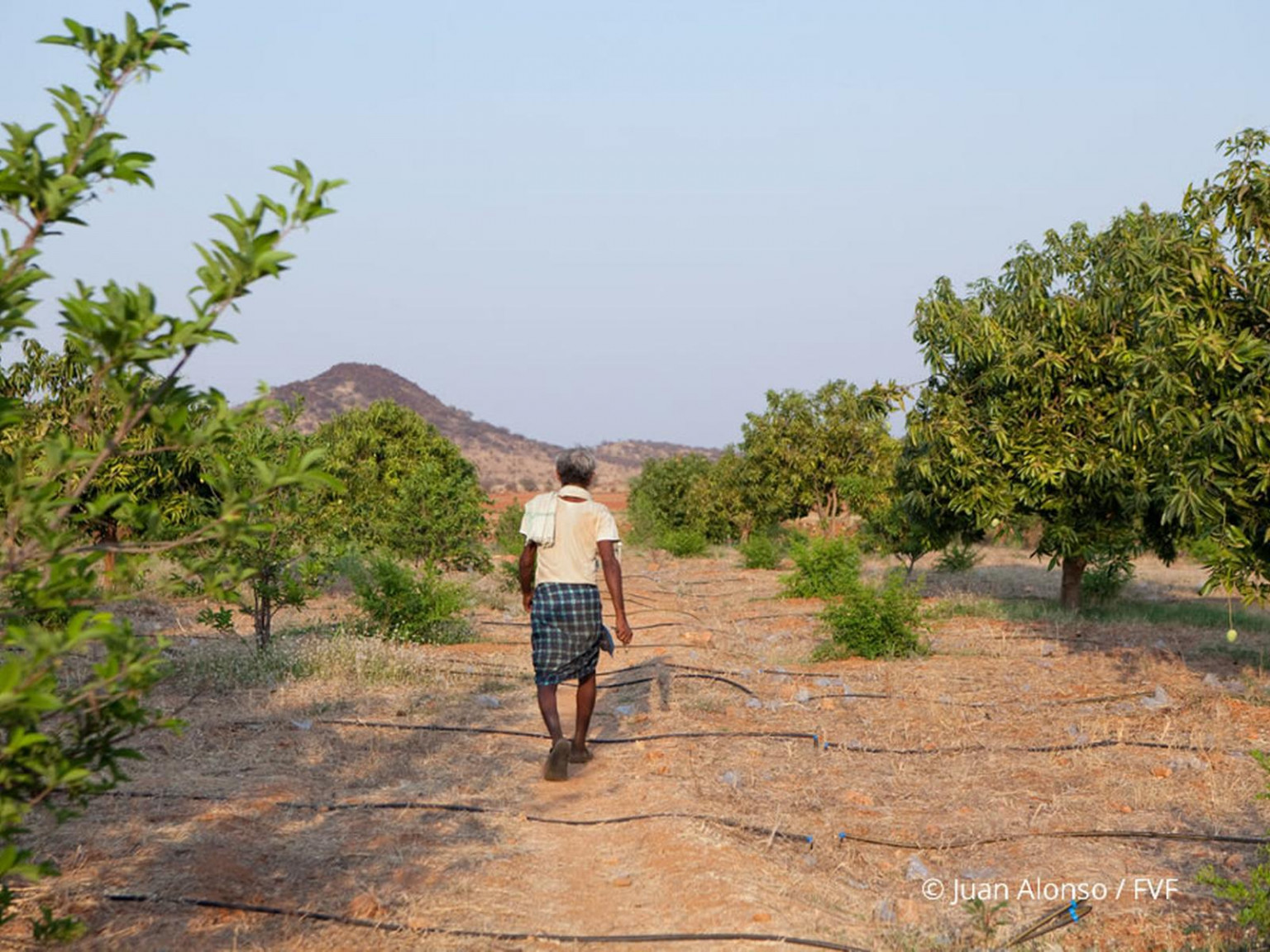 Installation of new solar-powered irrigation systems in Andhra Pradesh ...