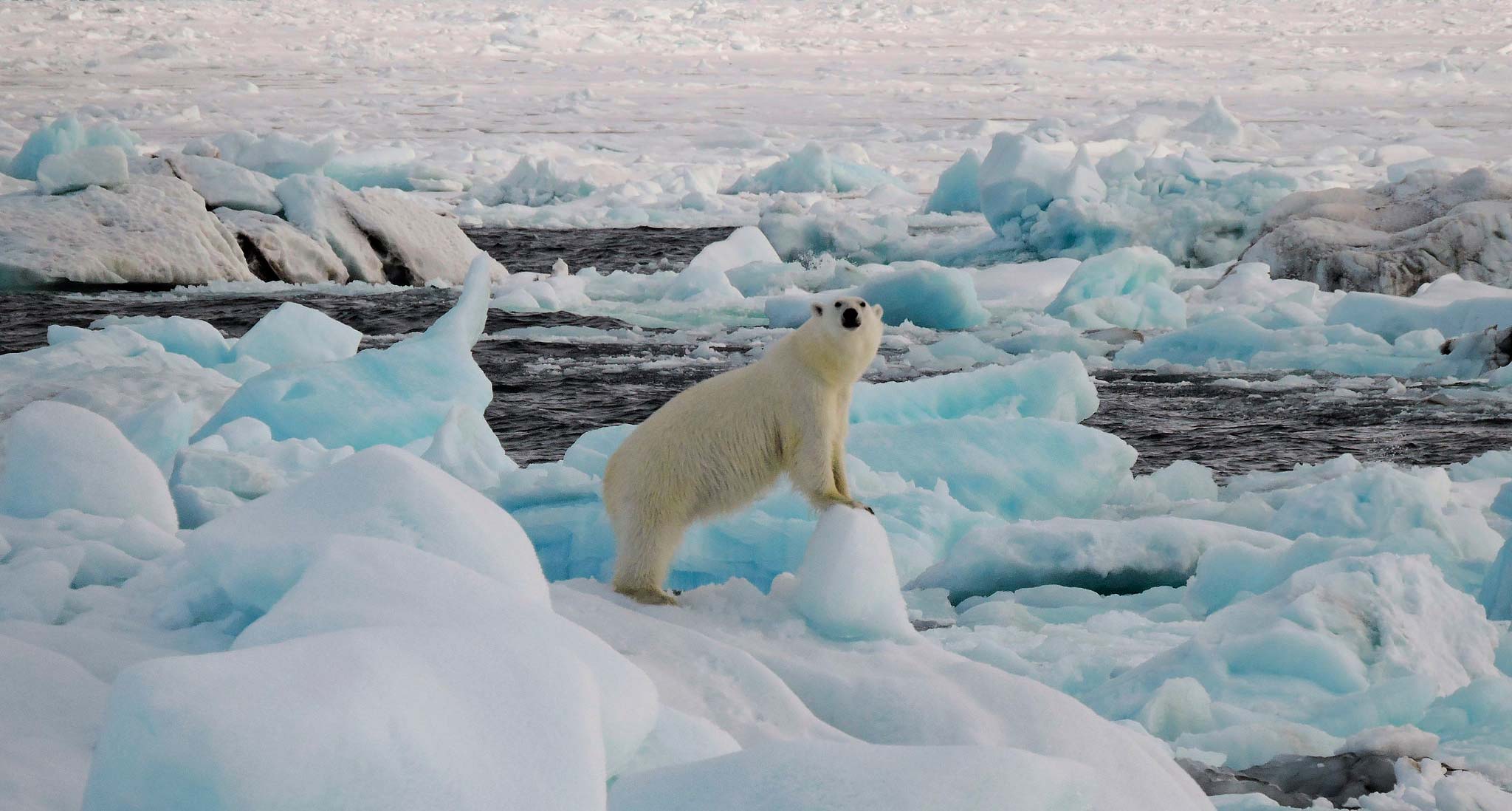 Extreme climate, a challenge for science - We Are Water