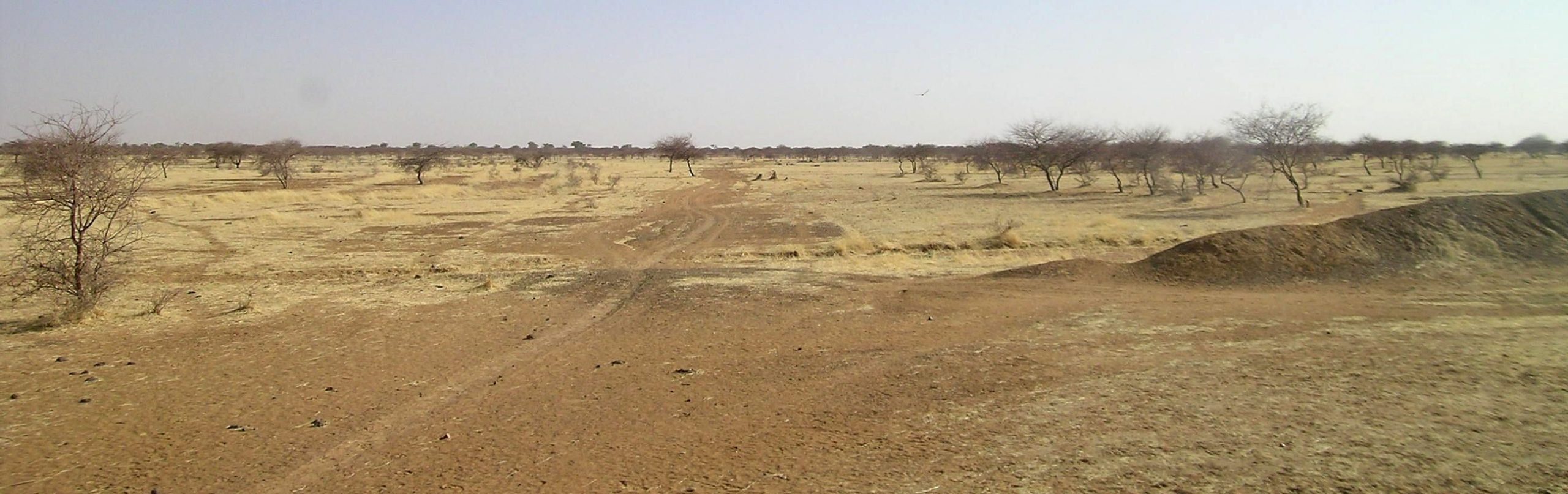 Causes Of Desertification In Africa