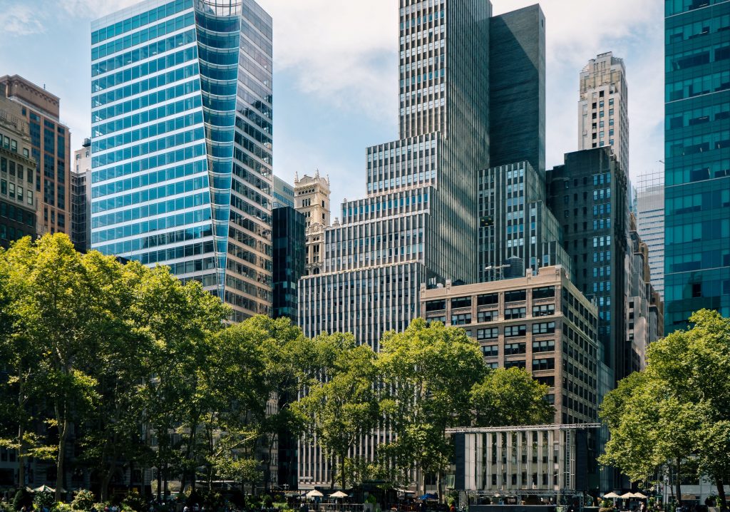 Trees in the city: much more than shade - We Are Water