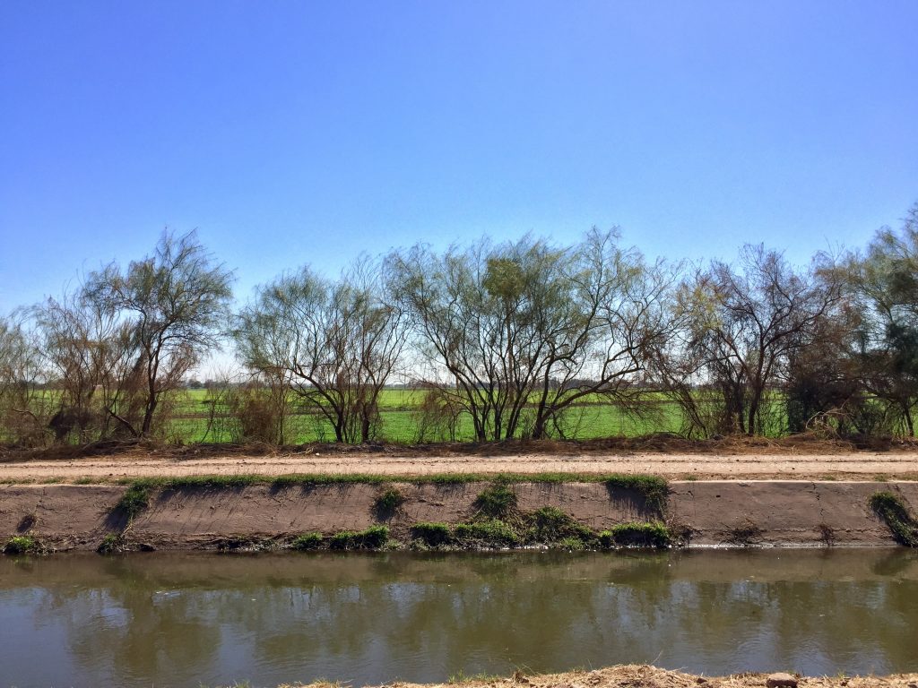 Un premio que es el de la esperanza - We Are Water