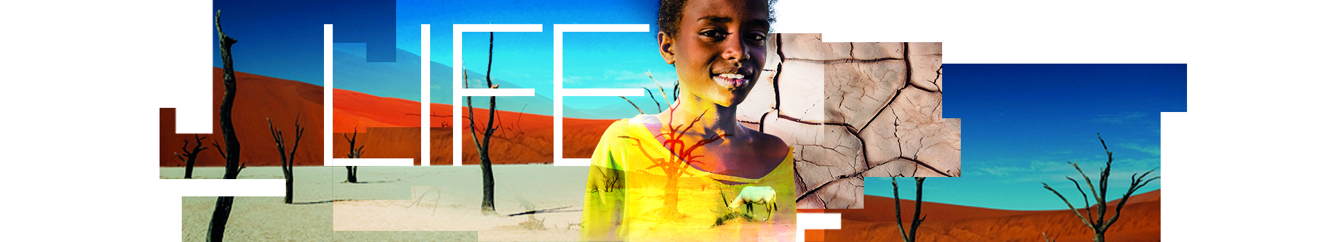 There is life in aridity we must preserve - We Are Water