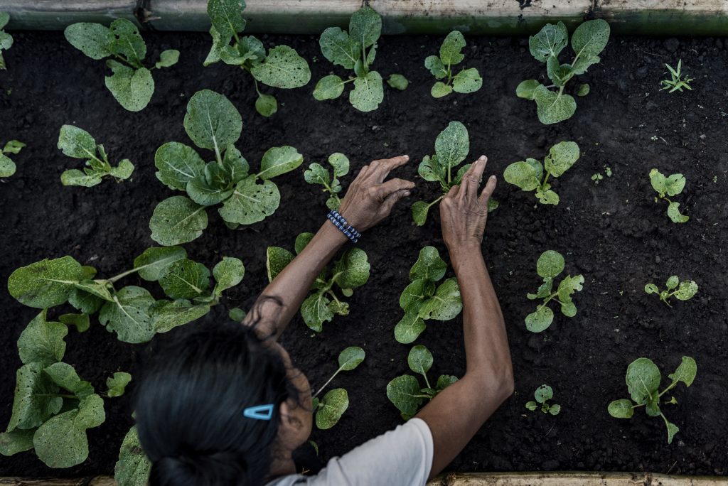 Development of water filters in Telaga Dalam and Cinto Mandi in Sumatra ...