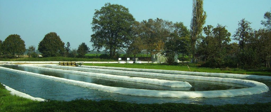 Microalgae: biotechnology for universal sanitation - We Are Water