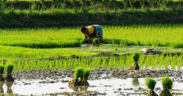 Water waste: Ending water losses, a global priority - We Are Water