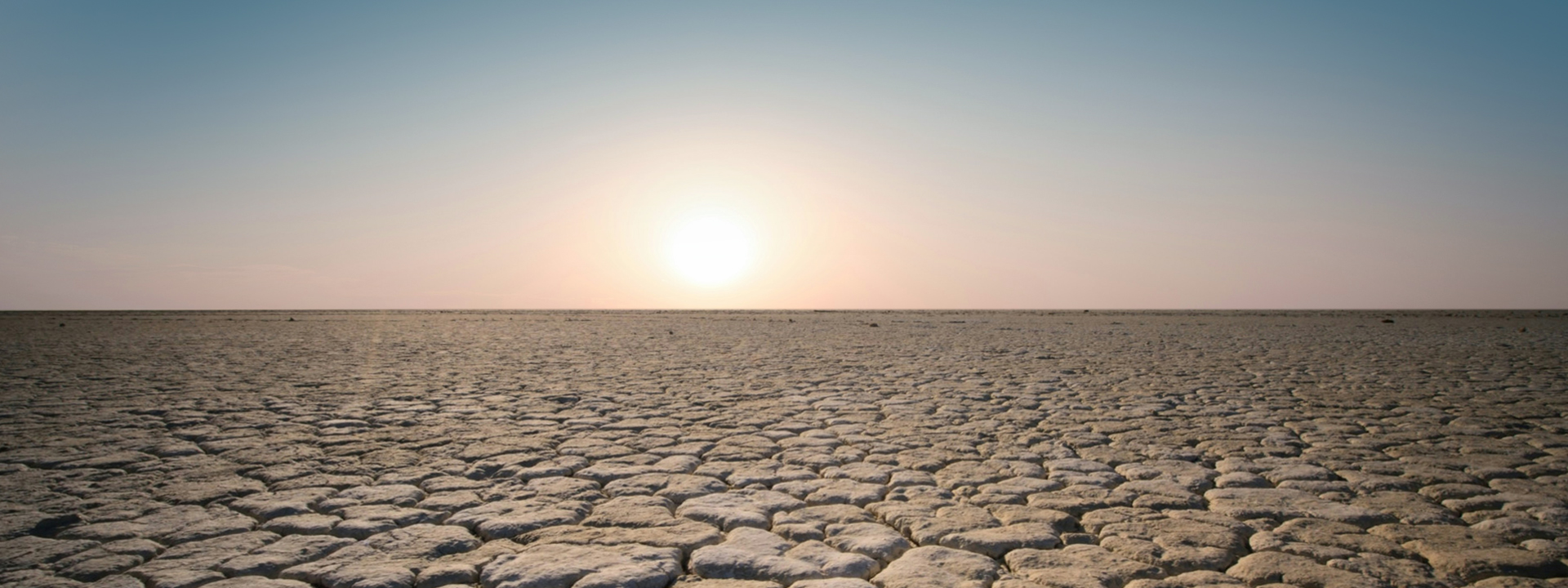 Fighting Drought. The Private Sector Steps Up - We Are Water